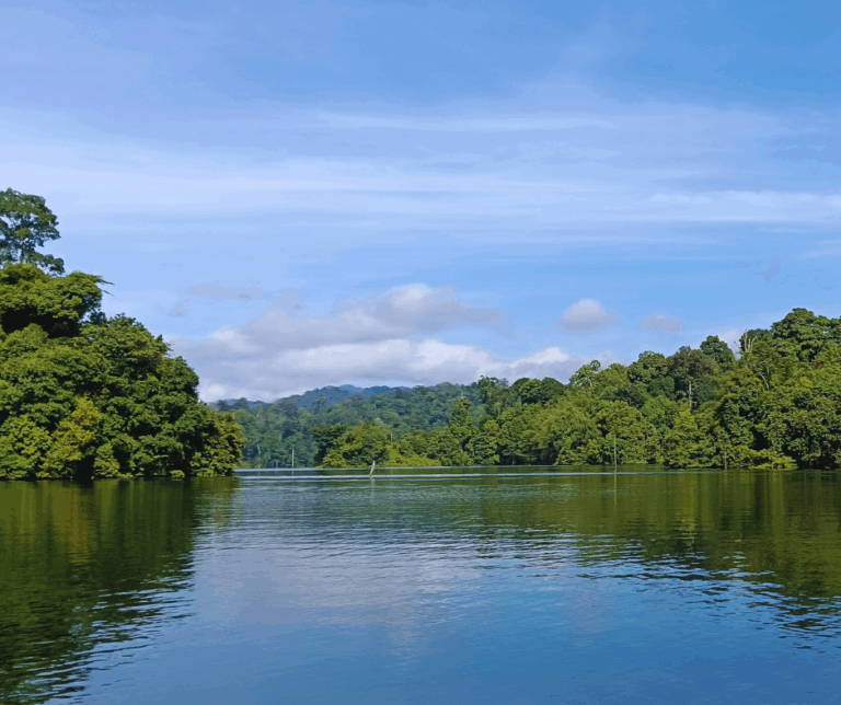Belum Rainforest Resort A Hidden Paradise in Perak Malaysia